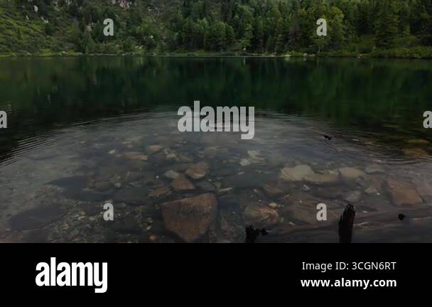 From the clear alpine lake Groer Scheibelsee with wild trout to the ...