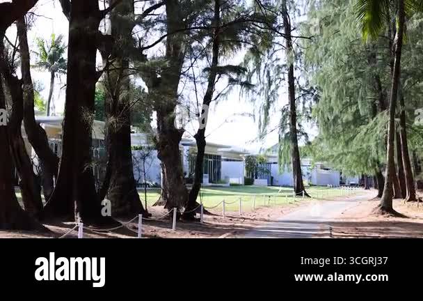 Scenic view of trees and pathway in Phuket Stock Video Footage - Alamy