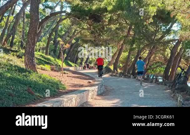People walking along pine Stock Videos & Footage - HD and 4K Video ...