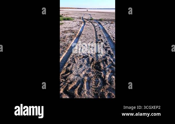 Muddy estuary habitat Stock Videos & Footage - HD and 4K Video Clips ...