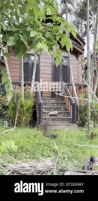 Traditional Vietnamese wooden bungalows in lush tropical greenery ...