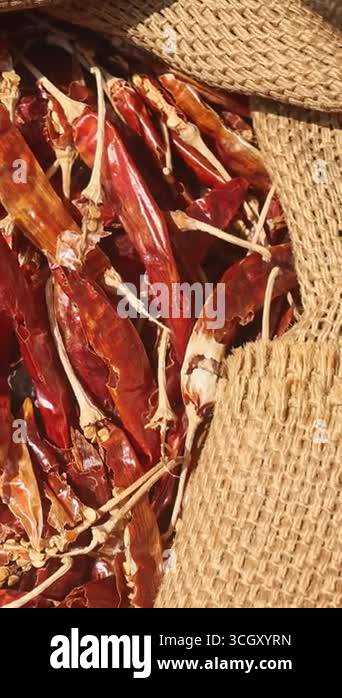 Dried red chili peppers in a canvas sack under sunlight. High quality ...