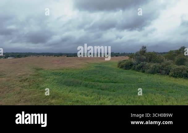 Drone moves steadily over open grassland with scattered shrubs, small ...