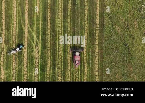 Grass field birds eye view Stock Videos & Footage - HD and 4K Video ...