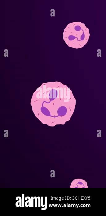 Animation of caucasian doctors over pink cells on violet background. Human biology, anatomy and ...