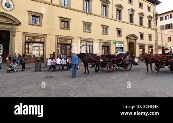 Horse drawn tourist carriages Stock Videos & Footage - HD and 4K Video ...