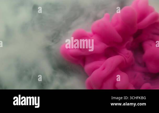 Underwater ink. Dye spread. White pink liquid color paint explosion ...