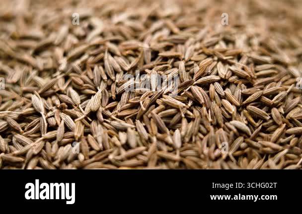 Pile of aromatic dried cumin seeds. Macro shot. Spicy Indian seasoning ...