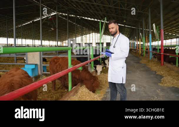 Veterinary professional wearing lab coat and stethoscope tracking ...