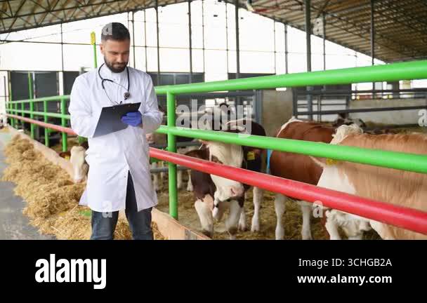 Professional veterinarian wearing white lab coat and stethoscope ...