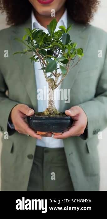 Trans woman in a green suit gently holding a small tree, representing ...