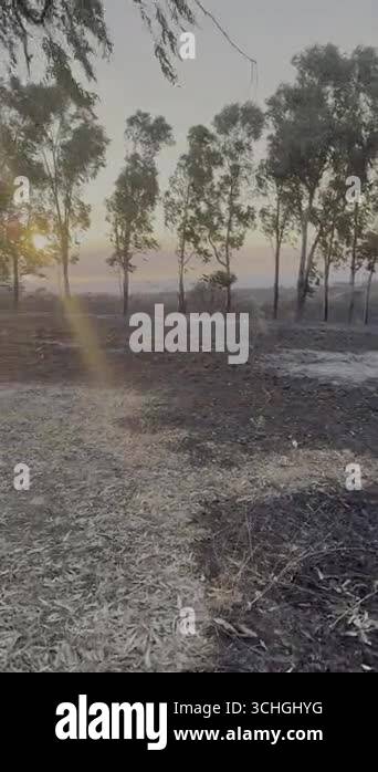 Charred land and blackened trees reveal the devastating aftermath of a ...