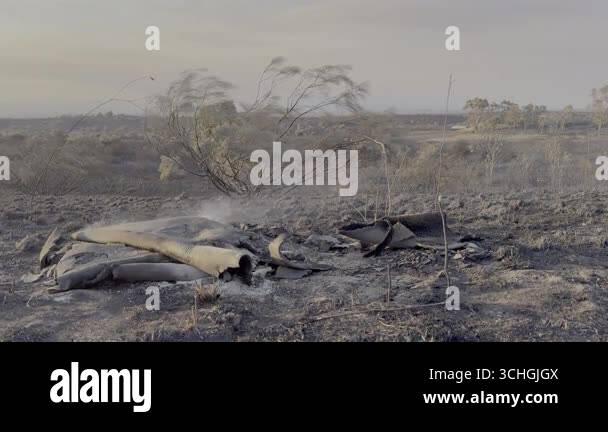 A barren landscape remains in the aftermath of a destructive wildfire ...