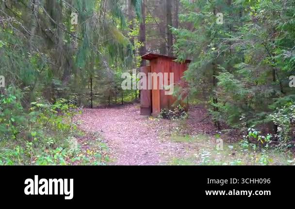 Belorussia forest Stock Videos & Footage - HD and 4K Video Clips - Alamy