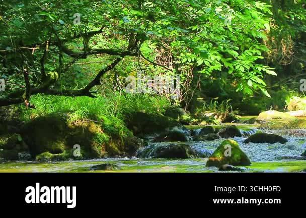 A 20-second still video of the Aude River in the Axat Valley. Water ...