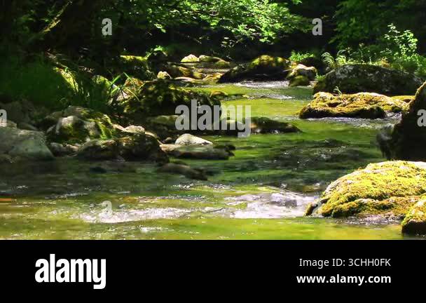 A 20-second still video of the Aude River in the Axat Valley. Water ...