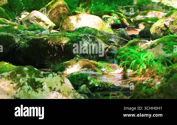 A 20-second still video of the Aude River in the Axat Valley. Water ...