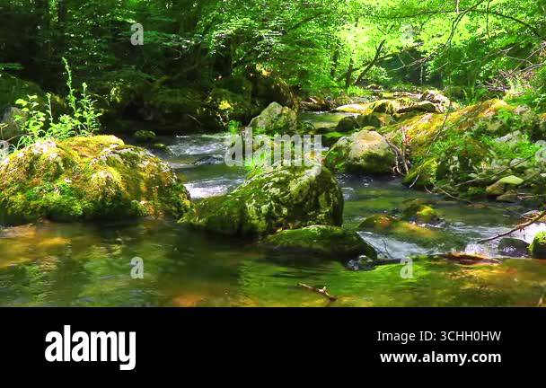 A 20-second still video of the Aude River in the Axat Valley. Water ...