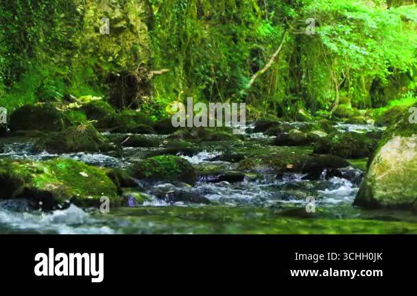 A 20-second still video of the Aude River in the Axat Valley. Water ...