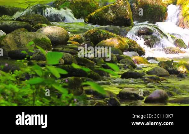 A 20-second still video of the Aude River in the Axat Valley. Water ...