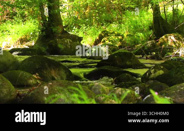 A 20-second still video of the Aude River in the Axat Valley. Water ...
