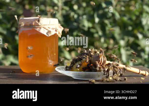 Fresh honey with wooden honey dipper and wild bees on sunny day against ...