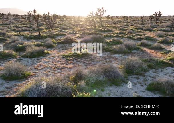 Mojave desert sunset Stock Videos & Footage - HD and 4K Video Clips - Alamy