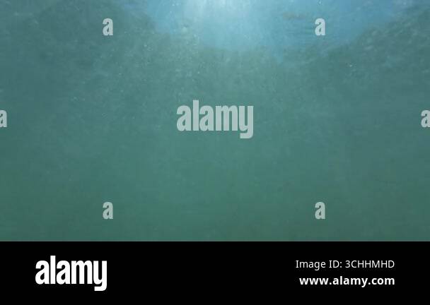 Sunlight from Underwater Slow Motion x4 Filmed at 120fps Stock Video ...