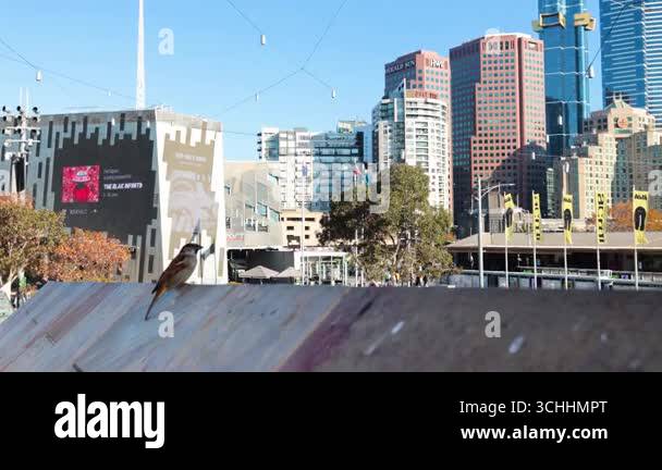 Panoramic view of Melbourne's iconic skyline Stock Video Footage - Alamy