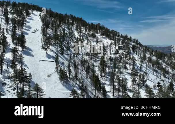 Mount Waterman Ski Trails Aerial Shot of Snow Forest Forward California ...