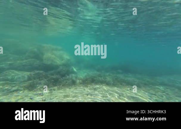 California Coast Underwater Wave Patterns in Palos Verdes USA Stock ...