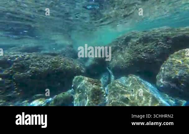 California Tide Pool with Marine Features in Palos Verdes USA ...