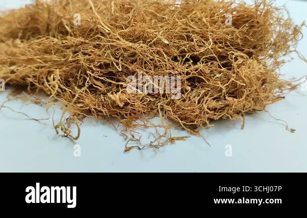 A pile of dried tobacco on a white background. Tobacco is a plant whose ...