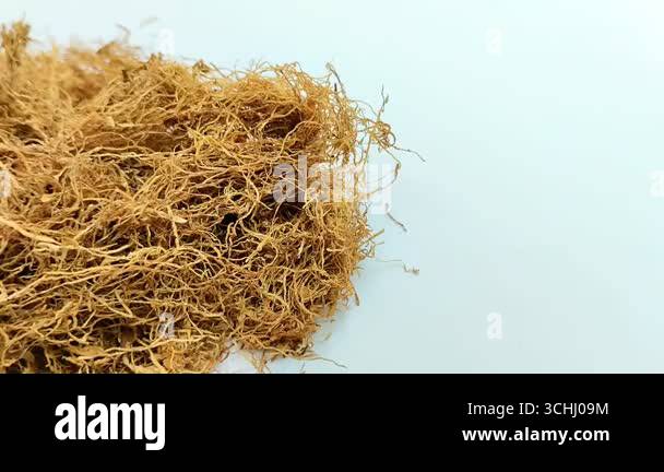 A pile of dried tobacco on a white background. Tobacco is a plant whose ...
