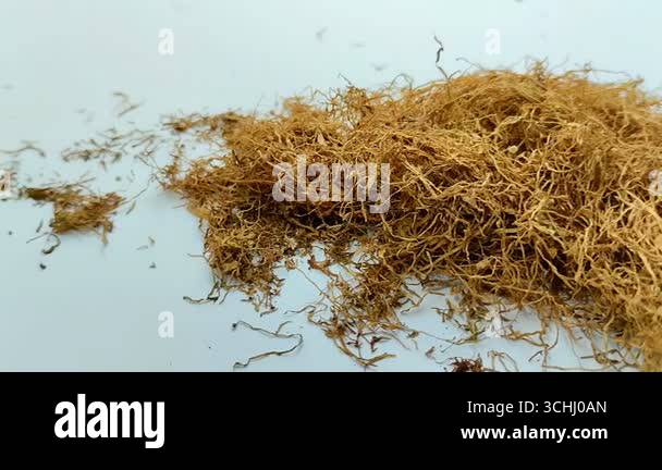 A pile of dried tobacco on a white background. Tobacco is a plant whose ...