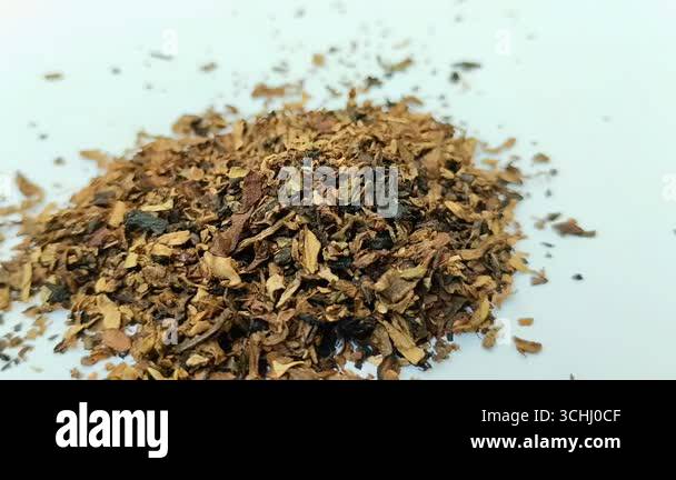 A pile of dried tobacco on a white background. Tobacco is a plant whose ...