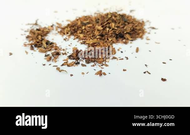 A pile of dried tobacco on a white background. Tobacco is a plant whose ...