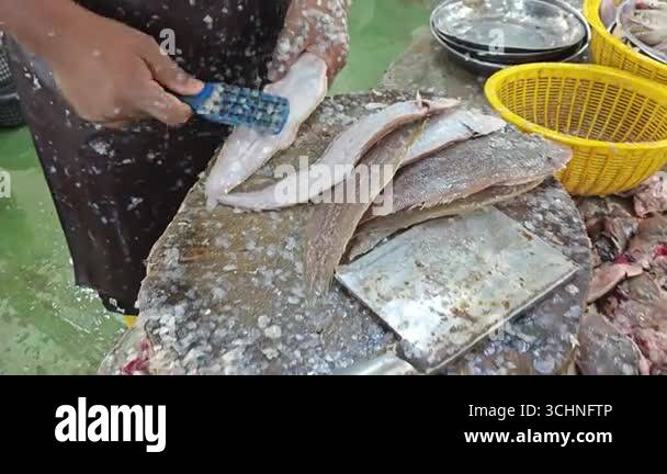 Sole fish on market Stock Videos & Footage - HD and 4K Video Clips - Alamy