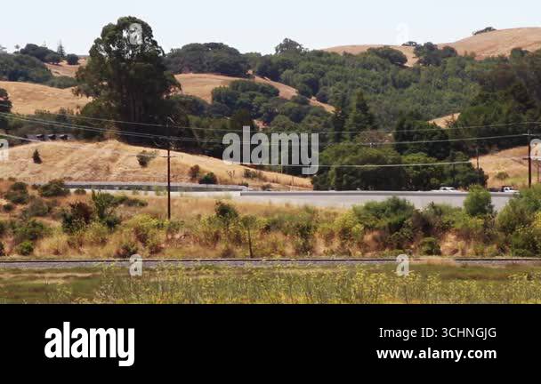 Distant View Of Cars On Freeway With Swaying Plants In Foreground And ...