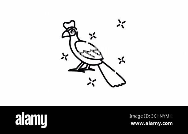 Astral bird Stock Videos & Footage - HD and 4K Video Clips - Alamy