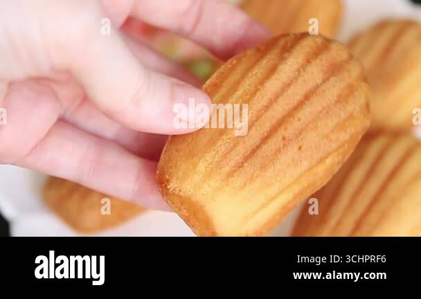 Madeleine cookies sweet dessert traditional french sweets tasty snack ...