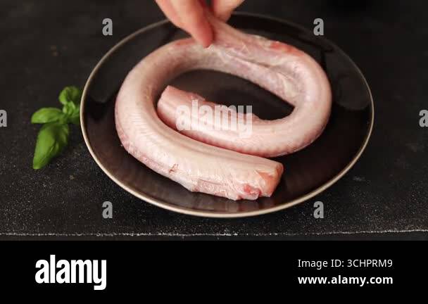 Raw rock eel fish rock salmon shark seafood small-spotted catshark ...