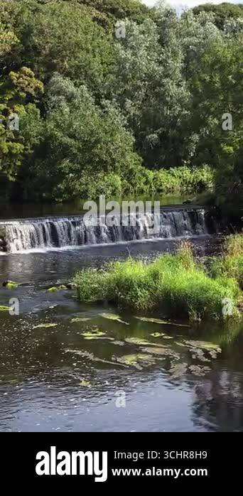 Clear fresh water in the River Bush, small waterfall with verdant trees ...