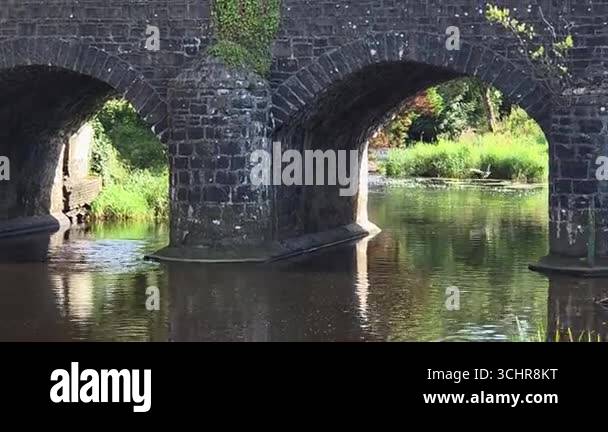 Water bird takes flight from river framed by decorative stone arch ...