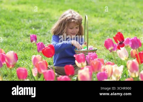 Child in tulip flower field in Holland. Kid in tulips fields in the ...