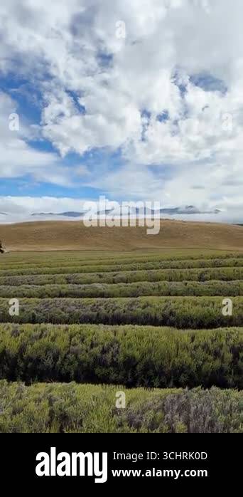 Majestic landscape with rolling hills, expansive sky, and verdant ...