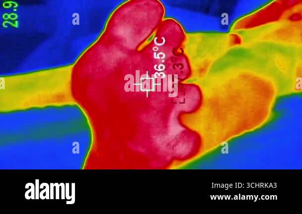 Thermal camera view of human feet, showing the heat signature of the ...