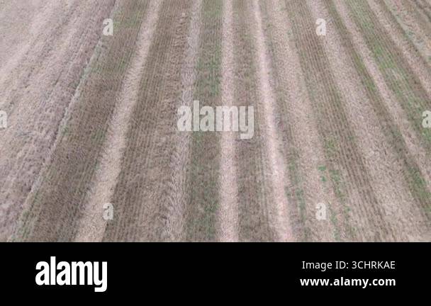 Expansive plot Stock Videos & Footage - HD and 4K Video Clips - Alamy