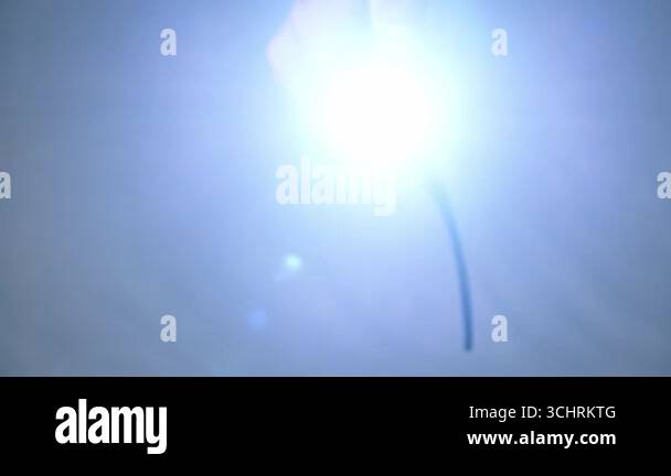 Hand holding a black flashlight against a gray background, turning on a ...