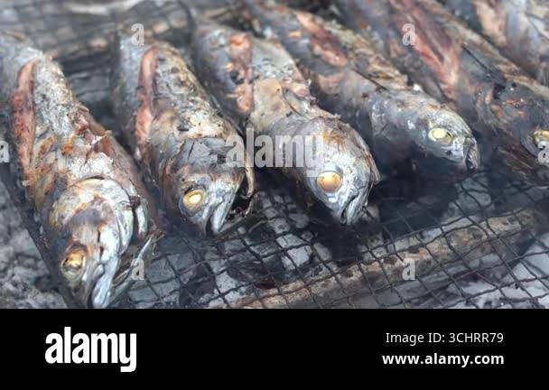 Grilled fish at street food market in Kota Kinabalu, island Borneo ...